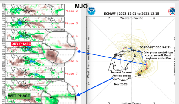 How the MJO, not just El Niño is influencing global commodity weather ...