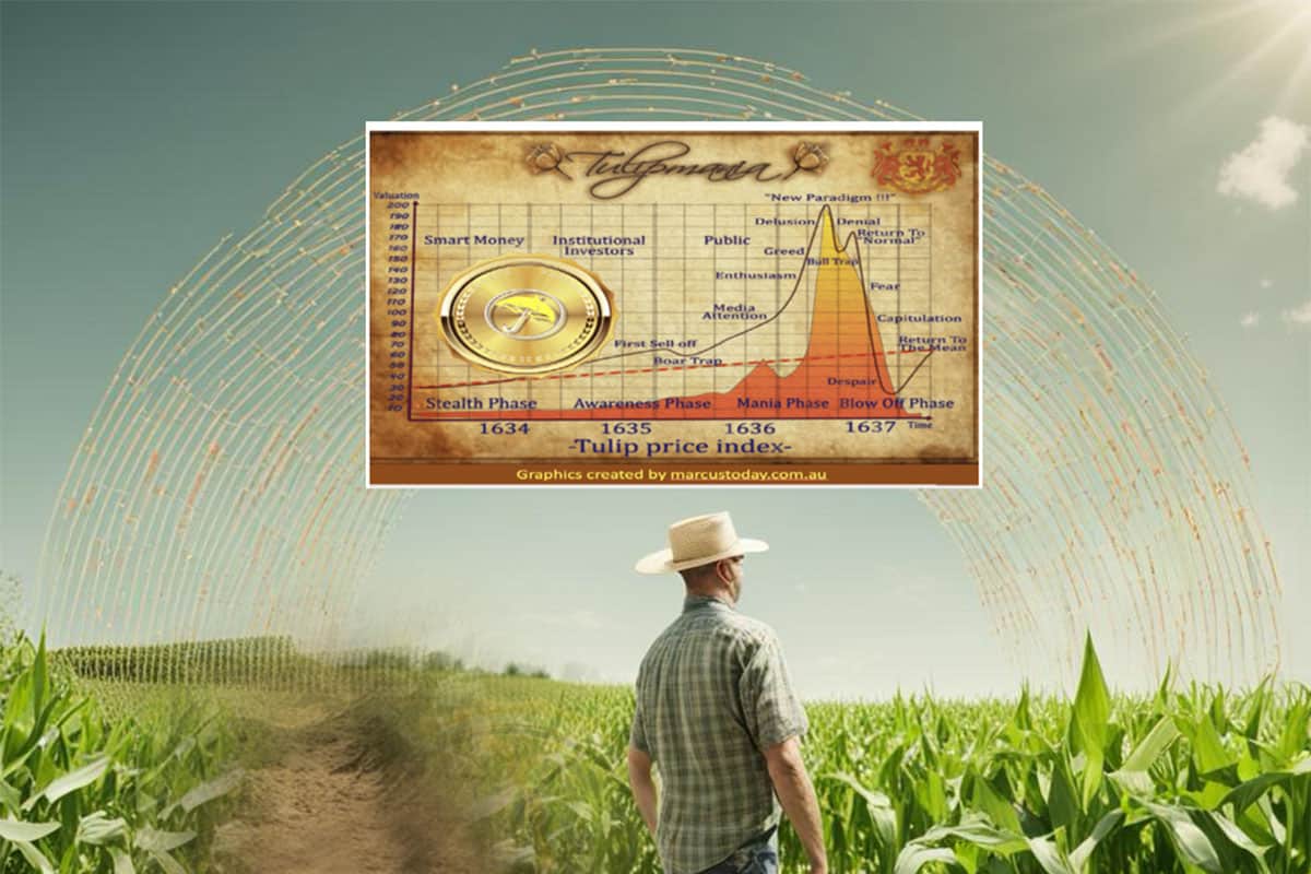 Weather Wealth Sample - Best Weather, Inc | Jim Roemer